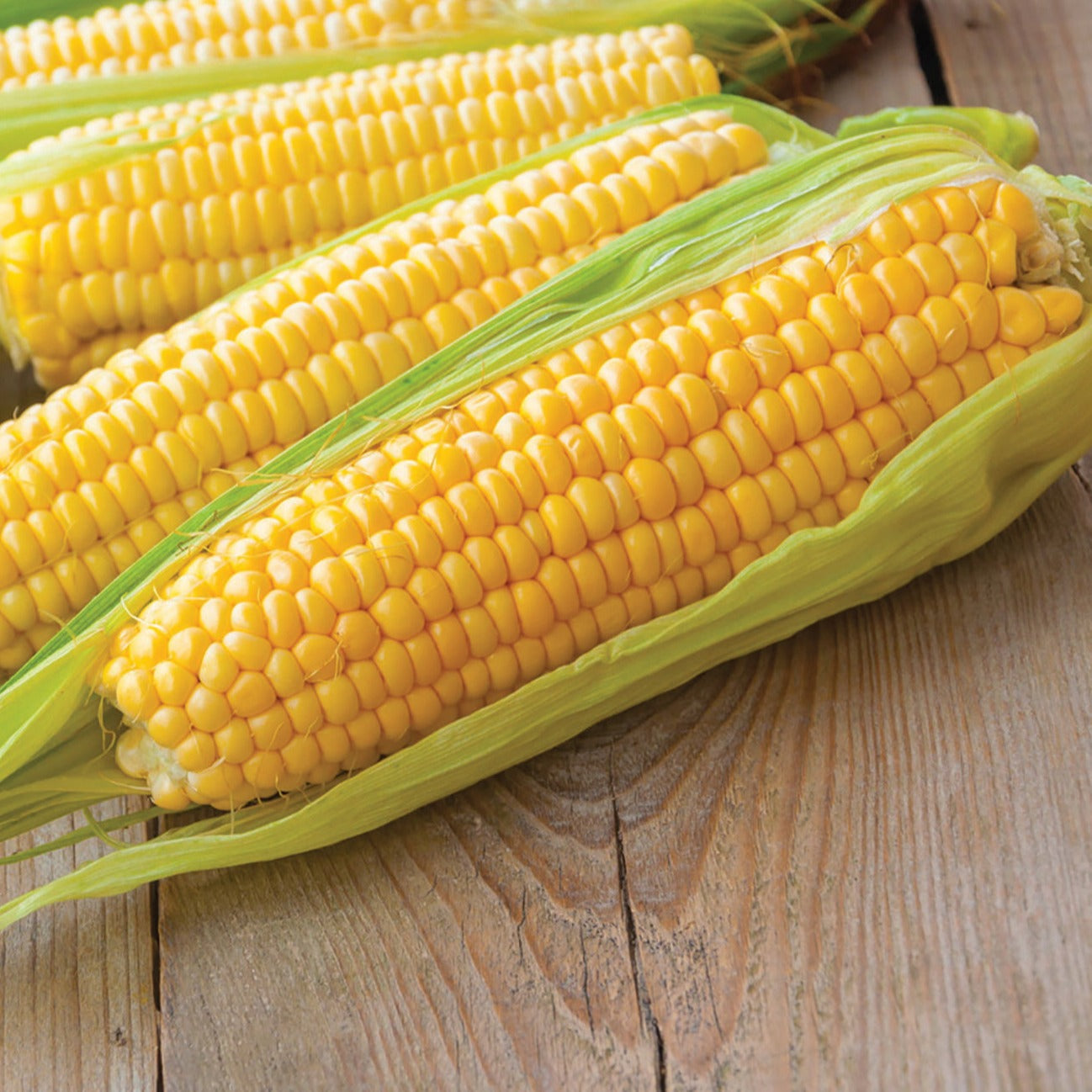 Kandy Korn Sweet Corn – Harvick Farms